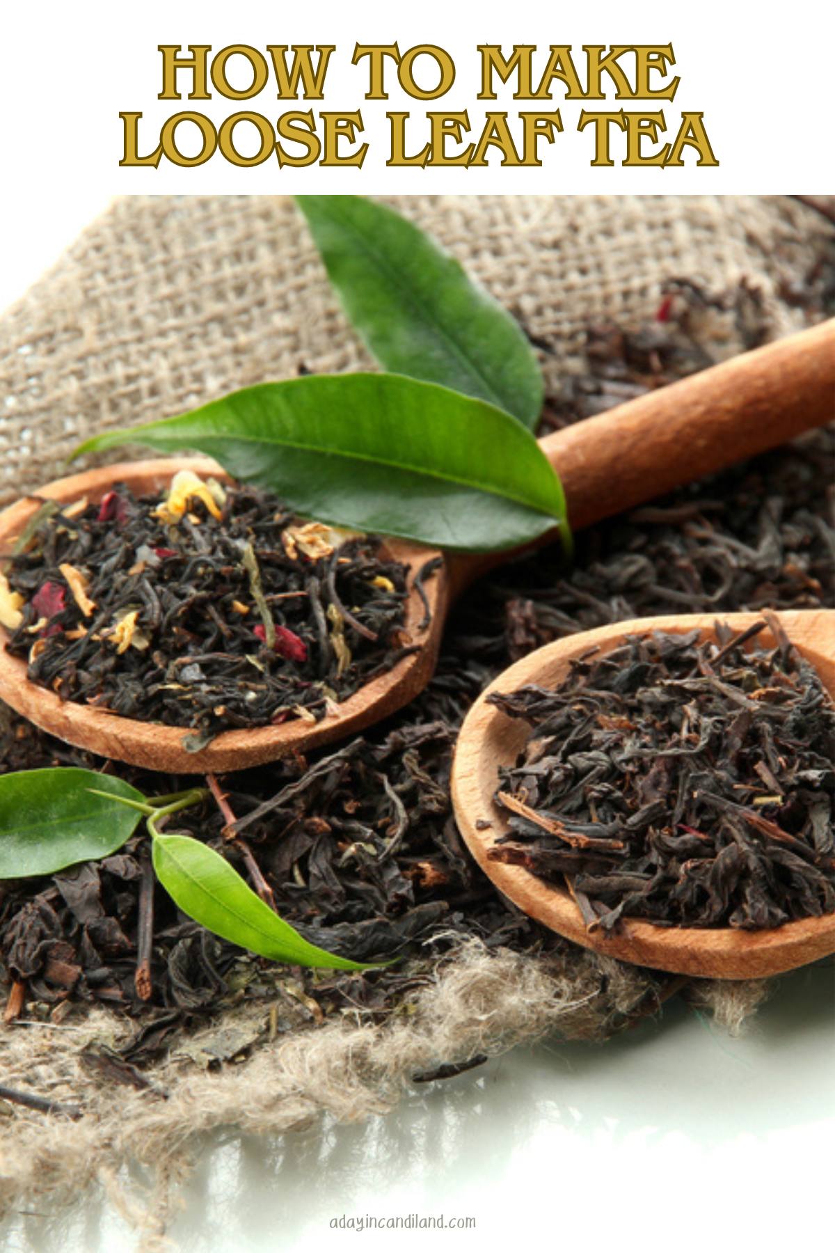 How to make loose leaf tea