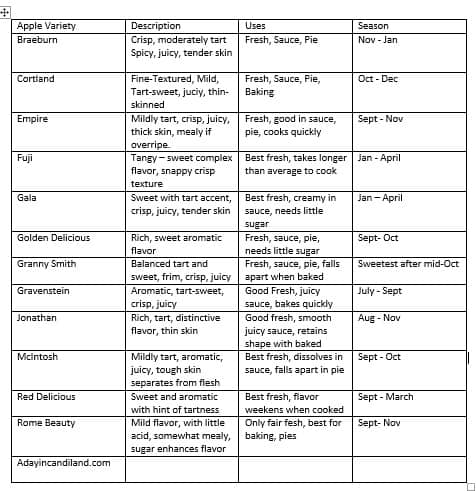 What Types of Apples are There