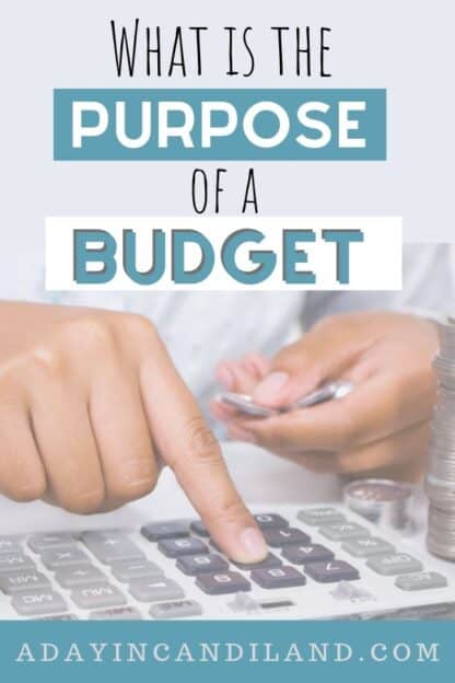 The Purpose of A Budget: What is a Budget - A Day In Candiland