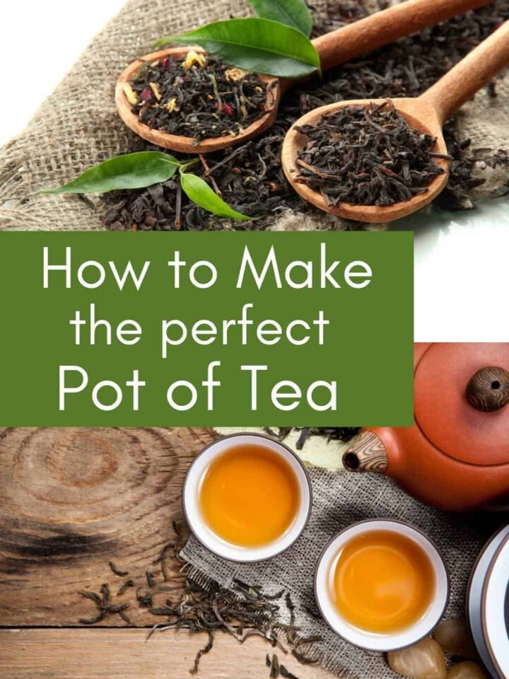 How to use a Tea Tasting Journal - A Day In Candiland