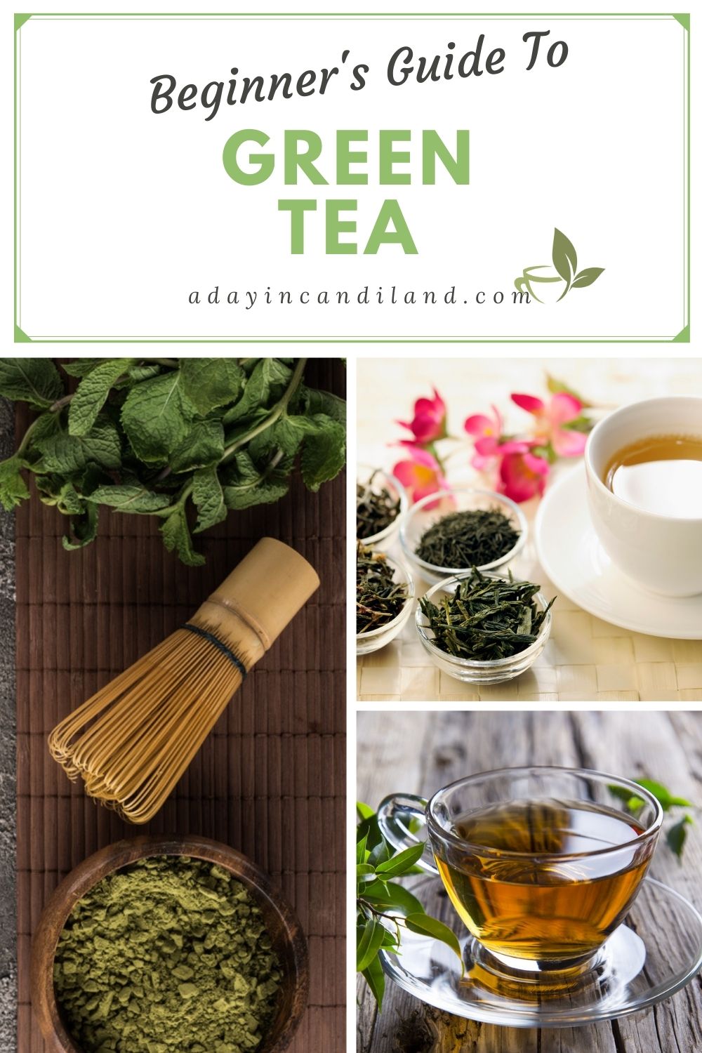 Beginner's Guide to Green Tea - A Day In Candiland