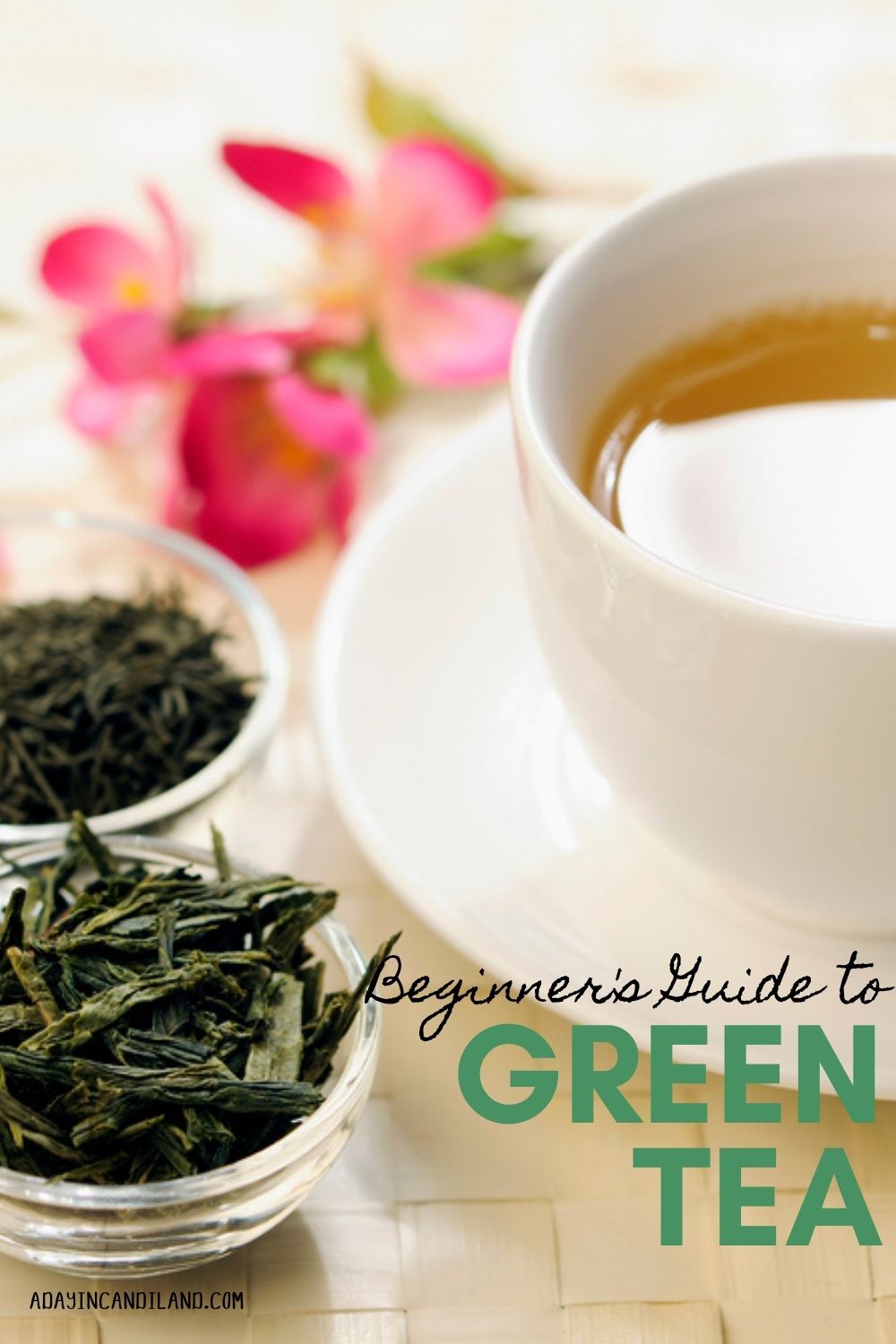 Beginner's Guide to Green Tea - A Day In Candiland