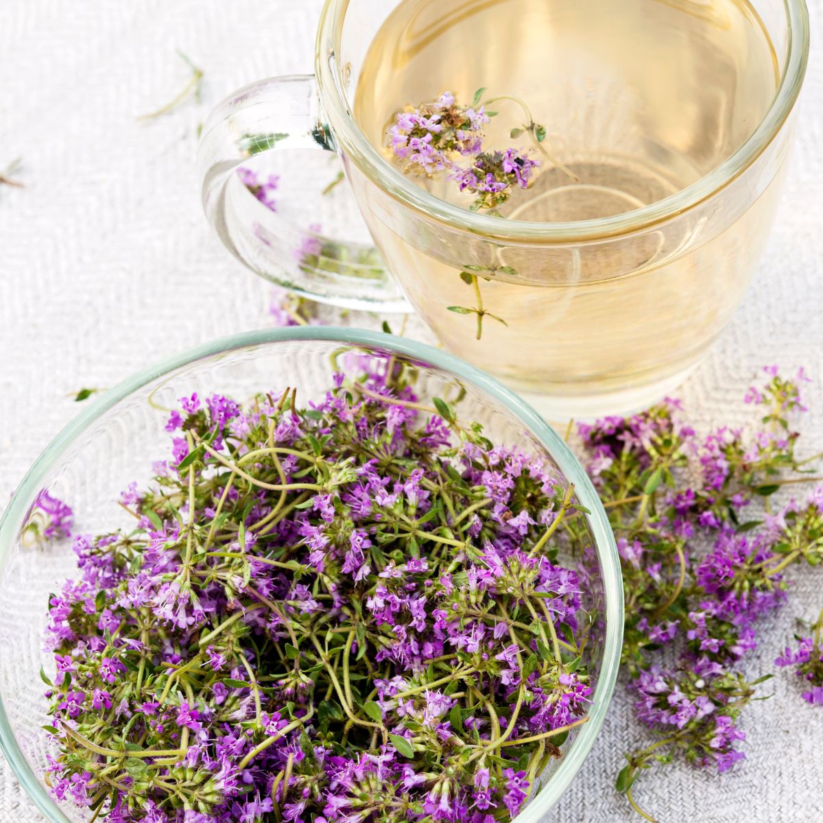 Hibiscus Iced Tea - A Day In Candiland