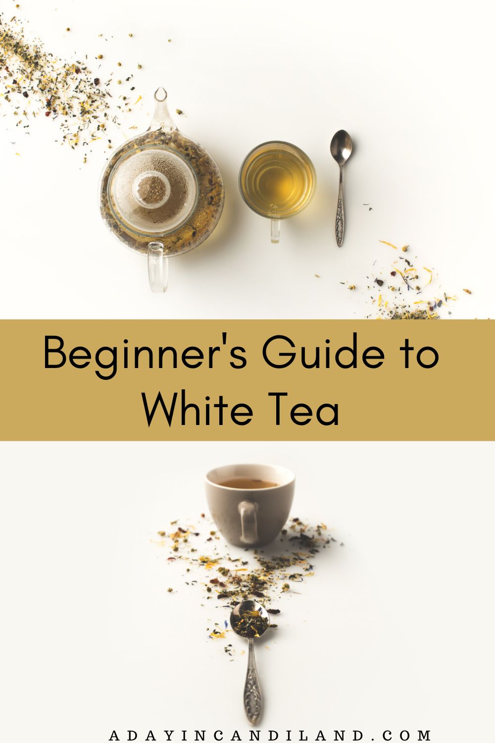 Beginner's Guide to White Tea - A Day In Candiland