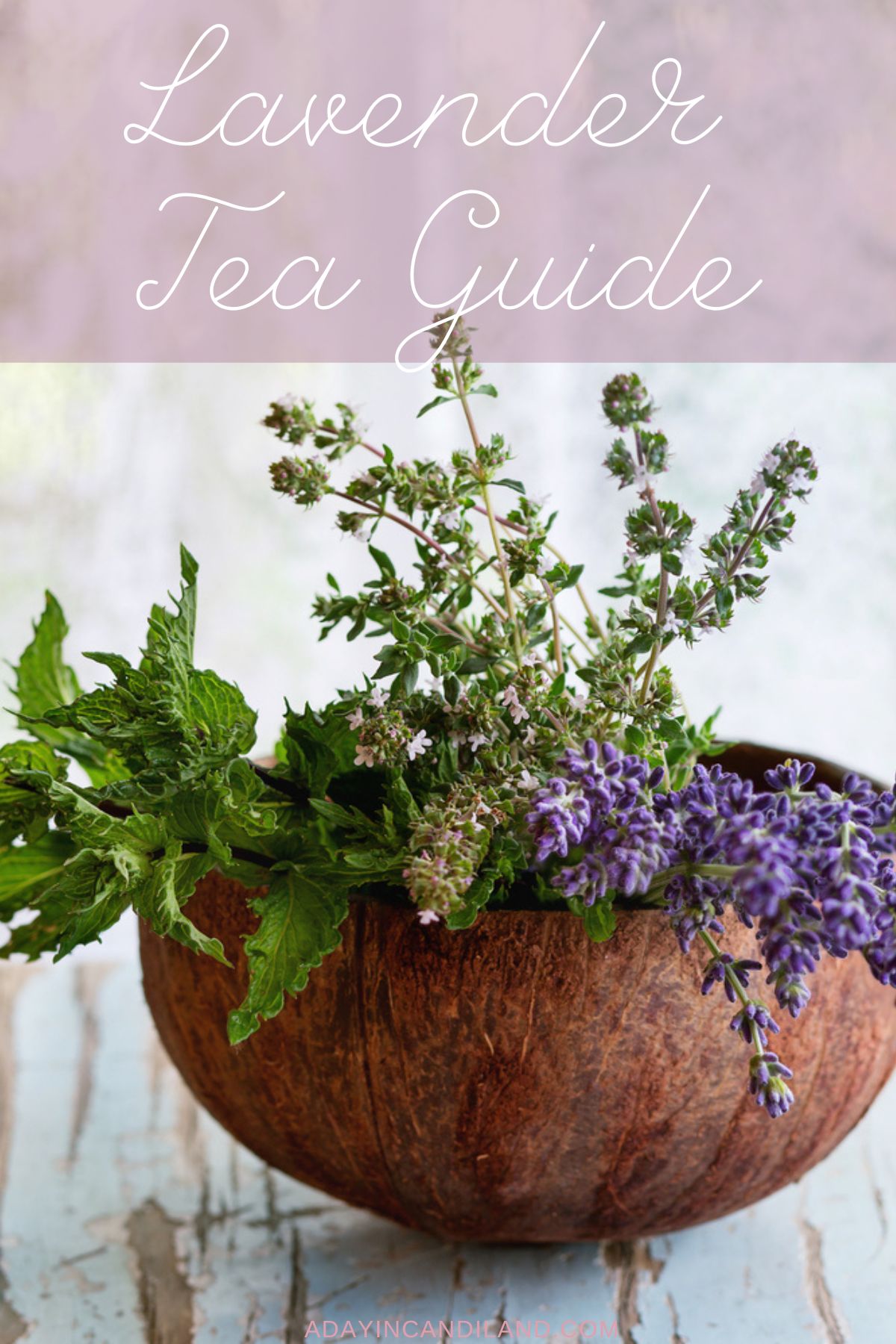 Your Complete Guide to Lavender Tea - A Day In Candiland