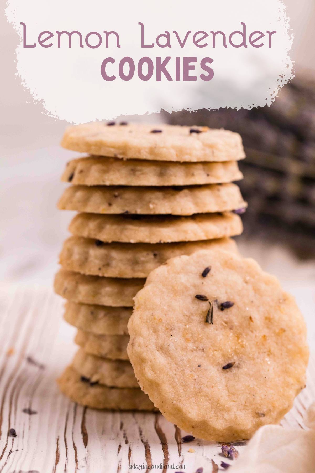 Lemon Lavender Cookies - A Day In Candiland