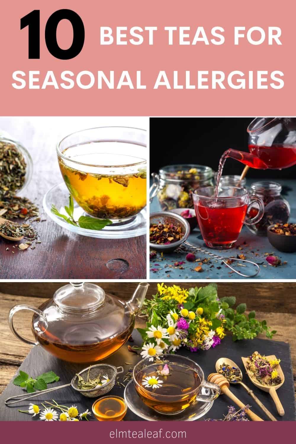 10 Best Teas For Allergies - A Day In Candiland