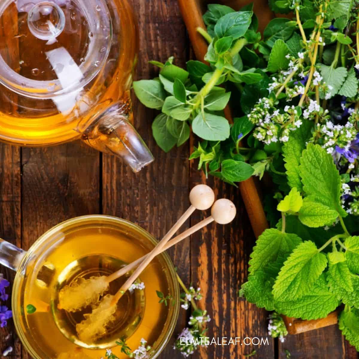 10 Best Teas For Allergies - A Day In Candiland
