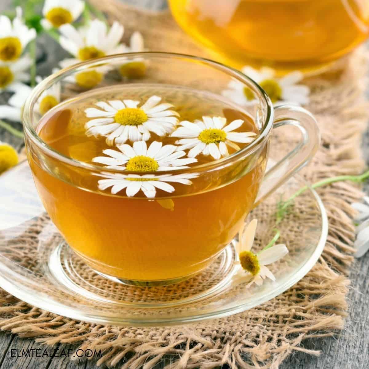 5 Best Herbal Teas for Upset Stomach - A Day In Candiland
