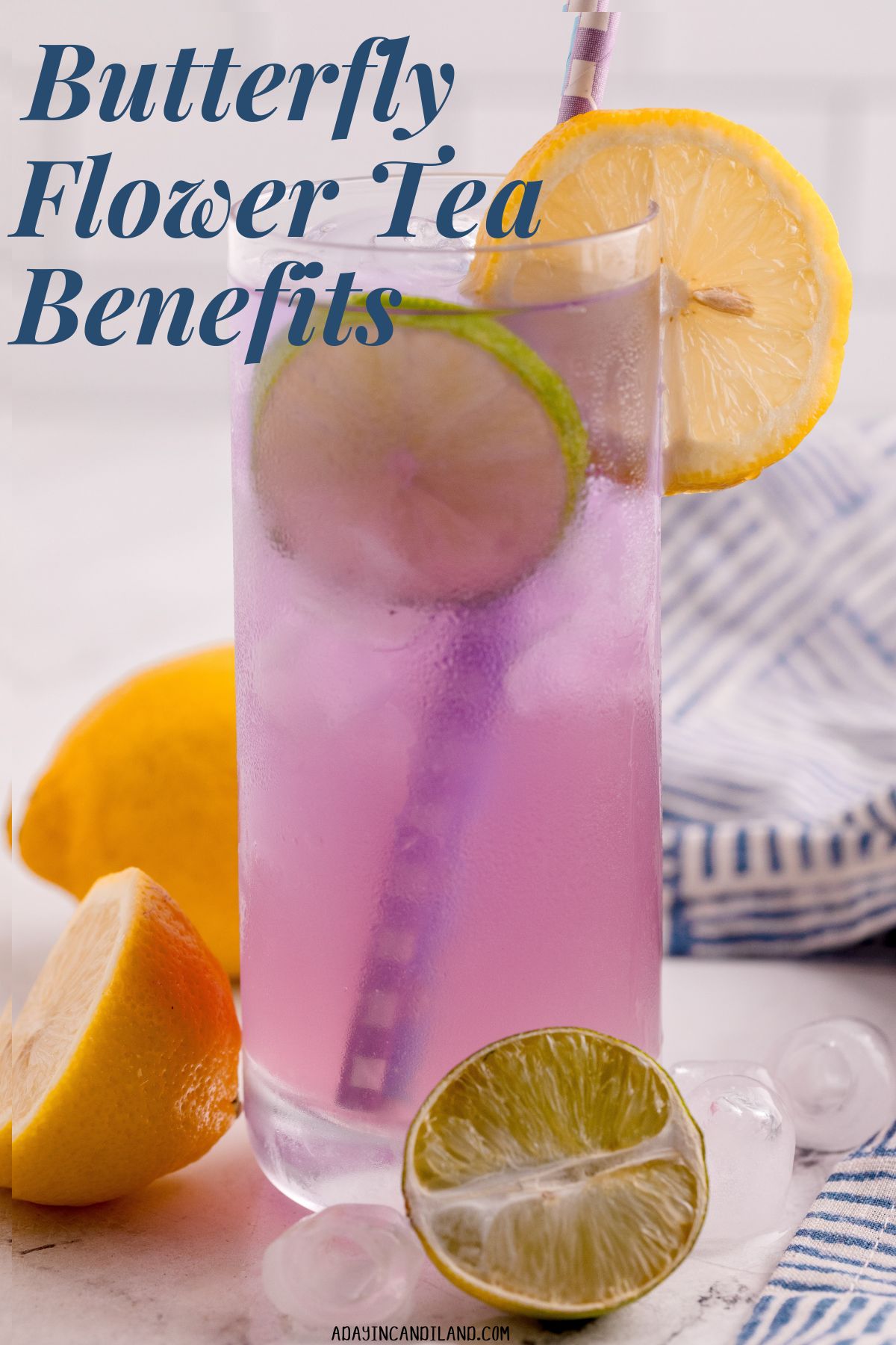 Butterfly Pea Flower Tea Benefits - A Day In Candiland