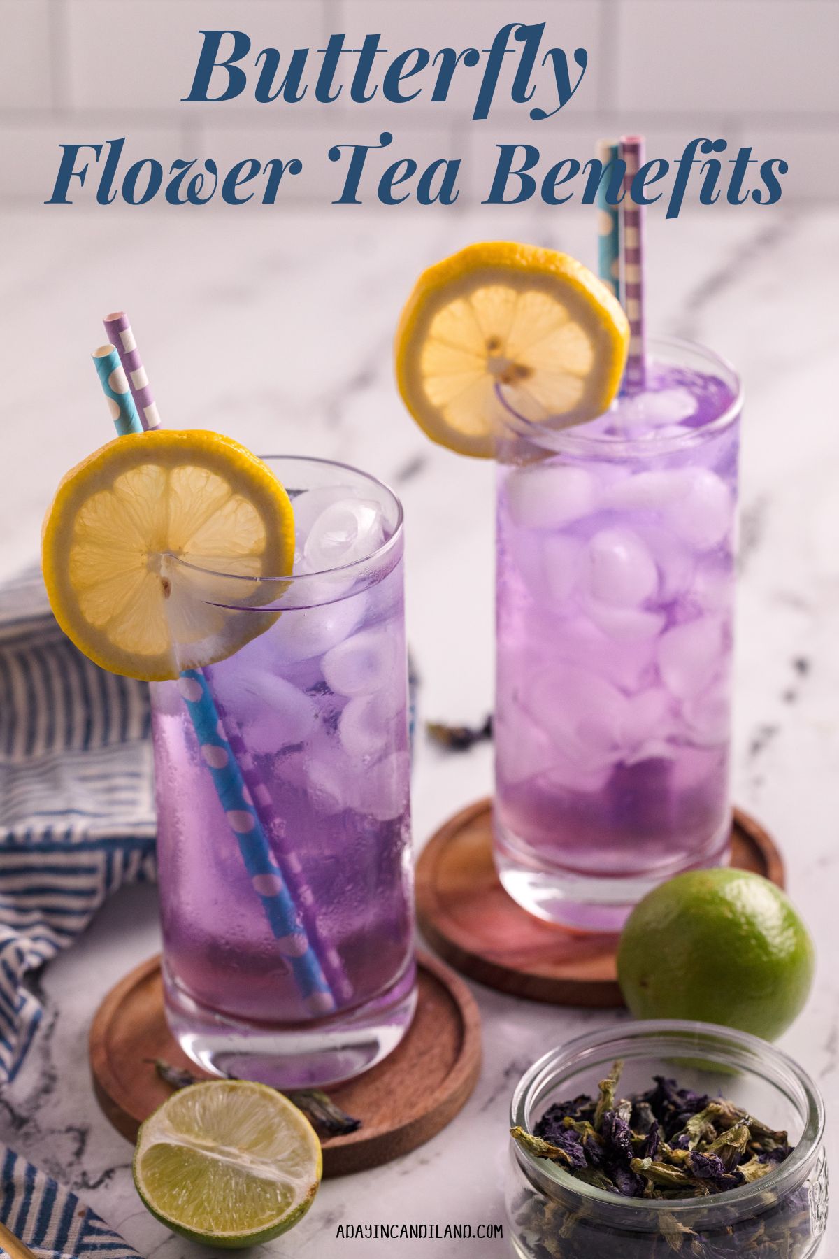 Butterfly Pea Flower Tea Benefits - A Day In Candiland