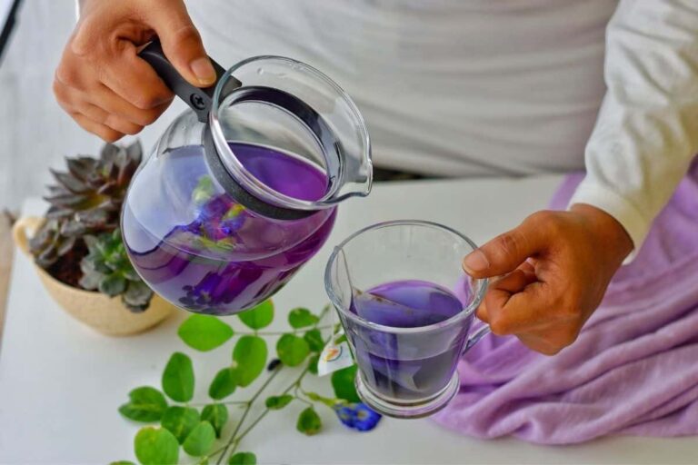 What is Purple Tea - A Day In Candiland