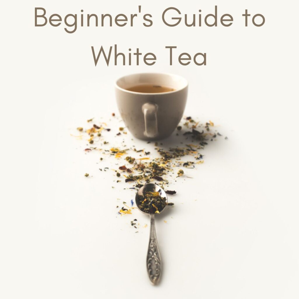 Beginner's Guide to White Tea - A Day In Candiland