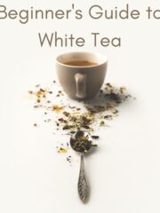 Tea Education - A Day In Candiland