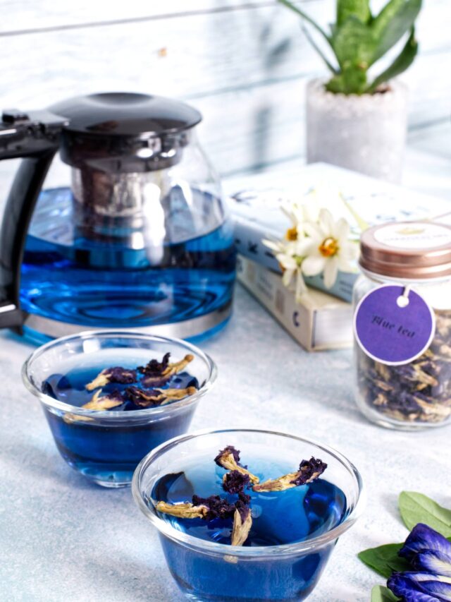 How To Use A Tea Kettle - A Day In Candiland