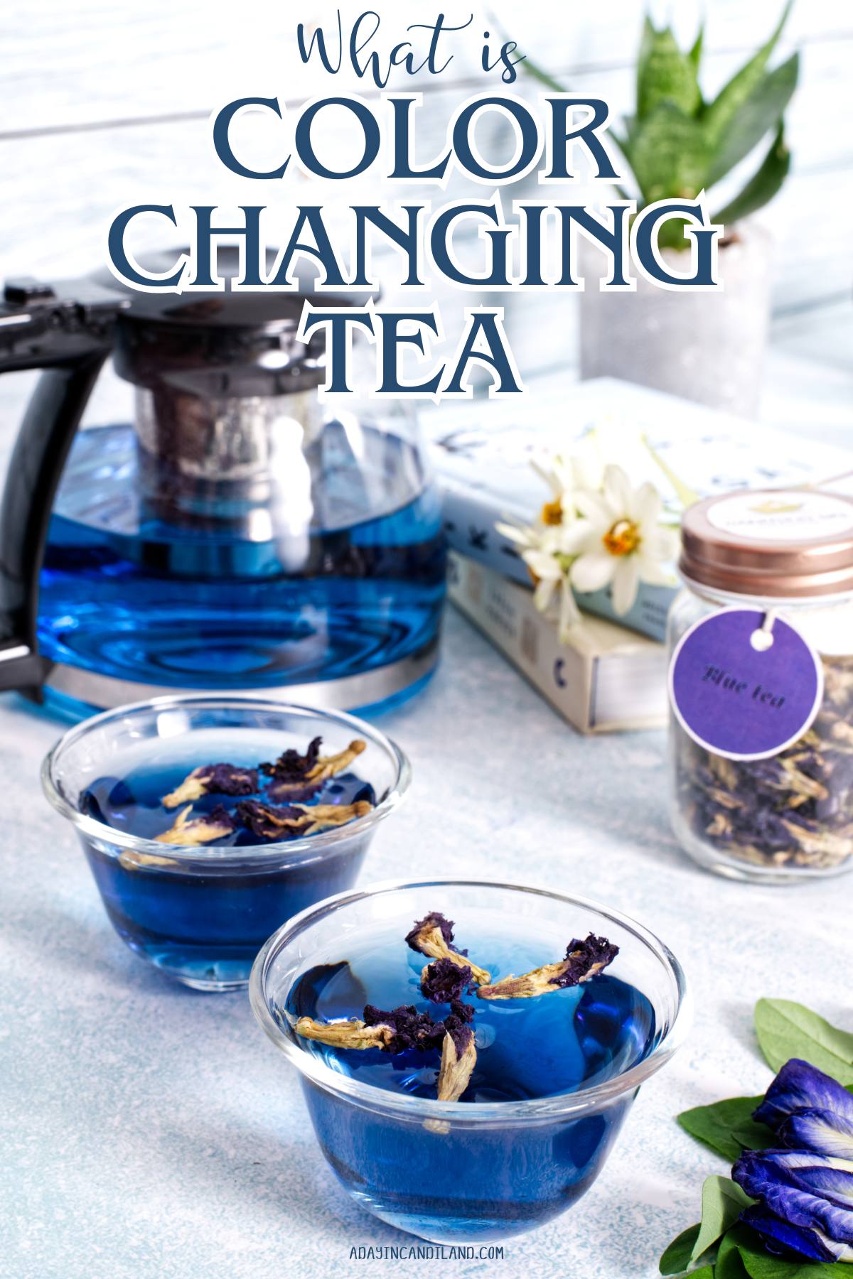The Magic of Color Changing Tea - A Day In Candiland
