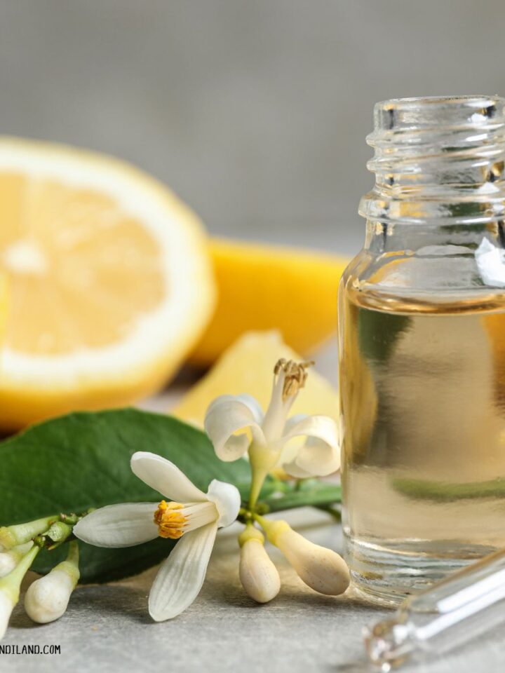 How to Zest a Lemon with 4 Different Tools - A Day In Candiland