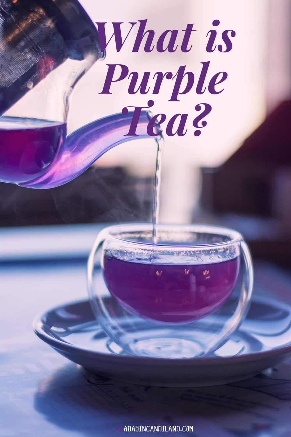 What is Purple Tea - A Day In Candiland