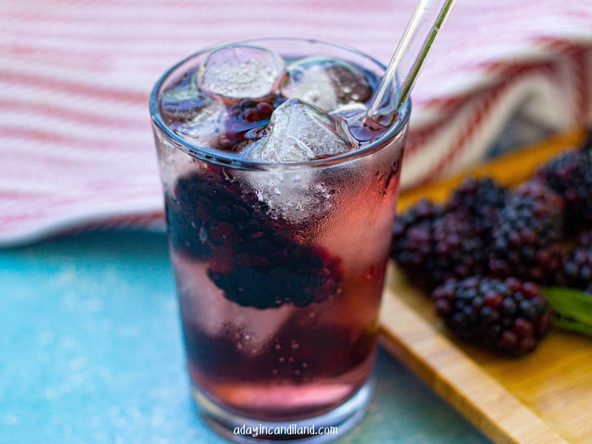 Hibiscus Green Tea Spritzer - A Day In Candiland