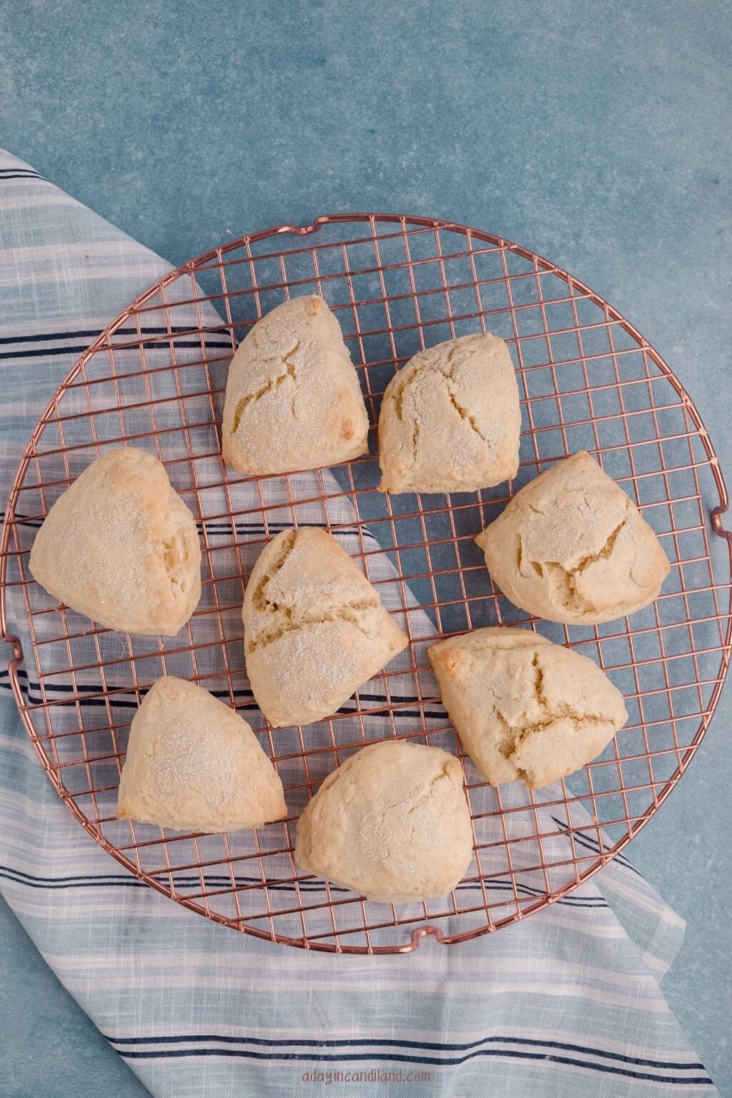 Classic Cream Scones Recipe with Clotted Cream - A Day In Candiland