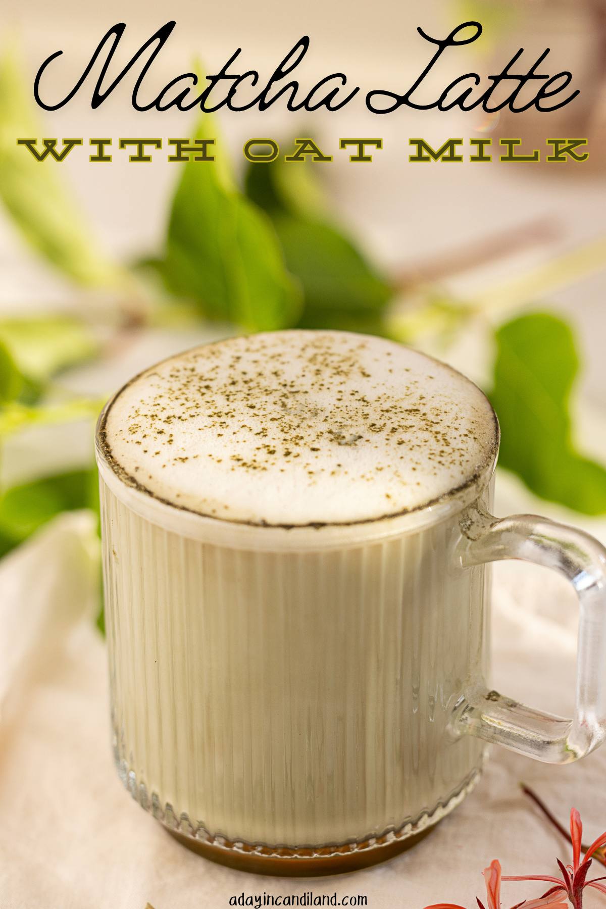 Oat Milk Matcha Latte - A Day In Candiland