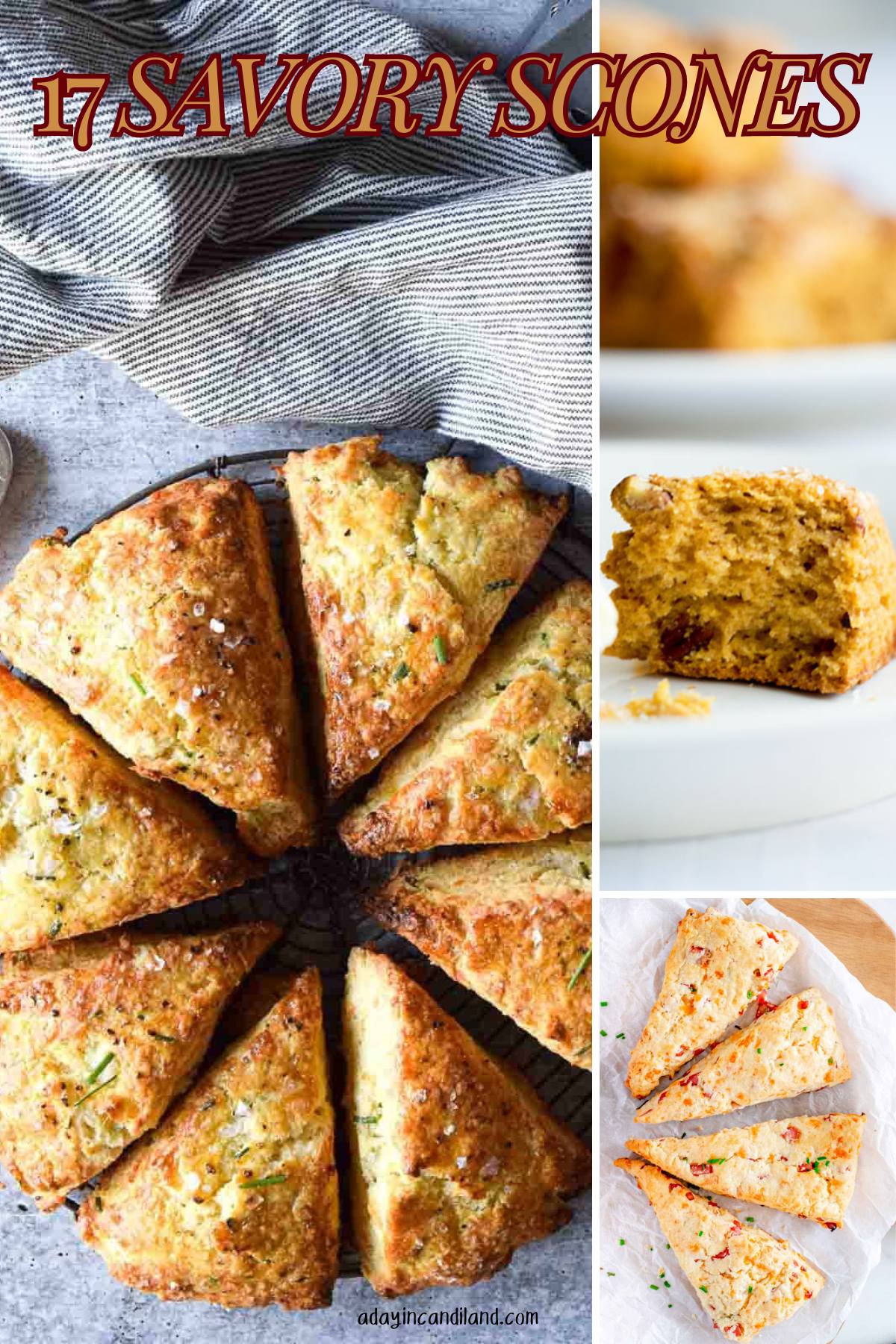 17 Savory Scone Recipes - A Day In Candiland